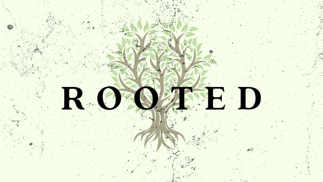 Rooted: 4-Week Preteen Series – Ministry to Preteens
